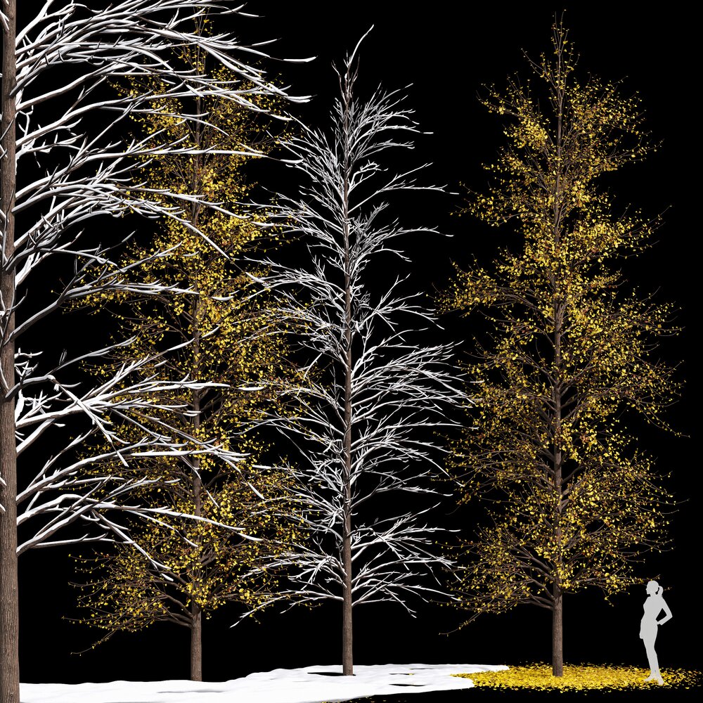 Maidenhair Ginkgo Biloba Winter Tree Modelo 3D - Descargar Árboles on ...