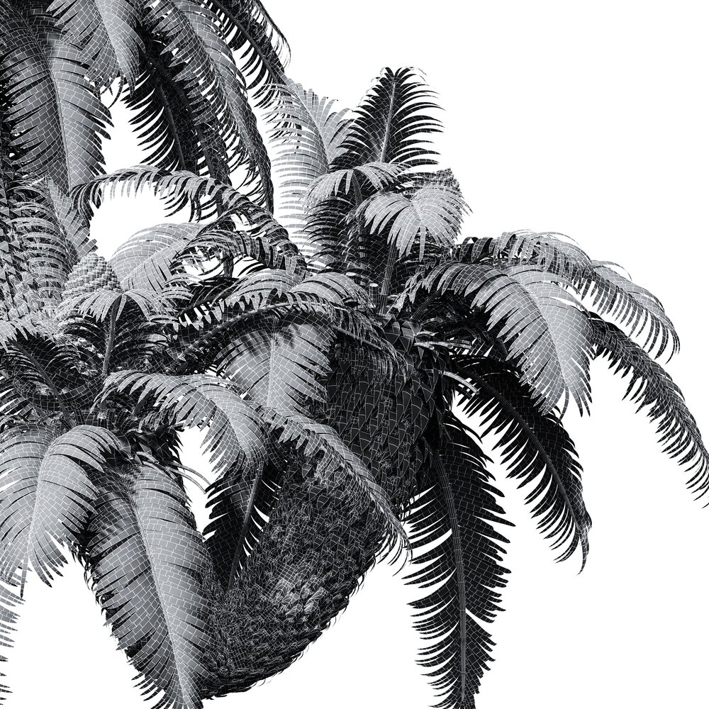 Cycas Revoluta Palmfarn Fruit Tree 3D 모델 - 다운로드 나무 on 3DModels.org