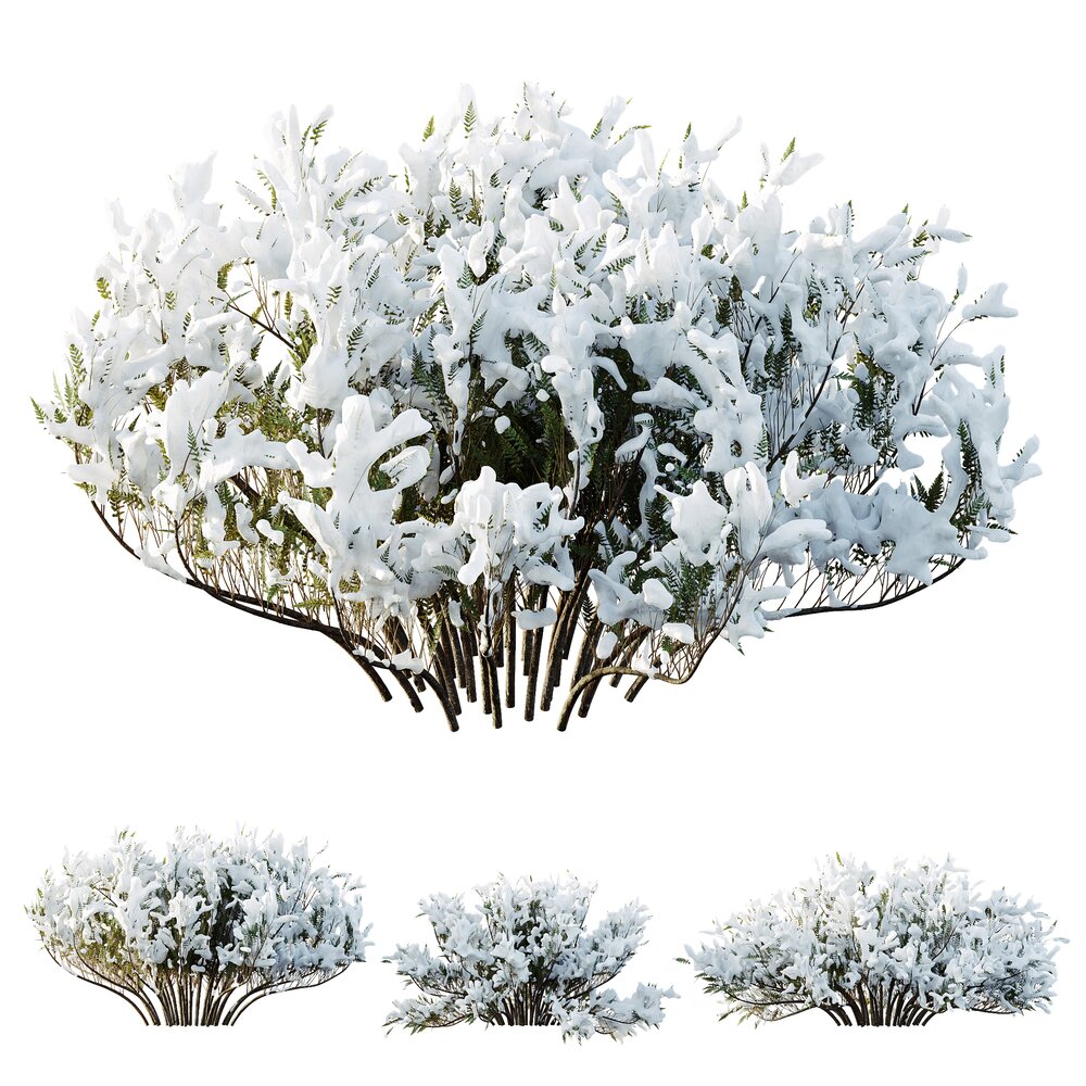 AV Plants Juniperus Sabina Winter Snow 3D model - Download Bushes on ...