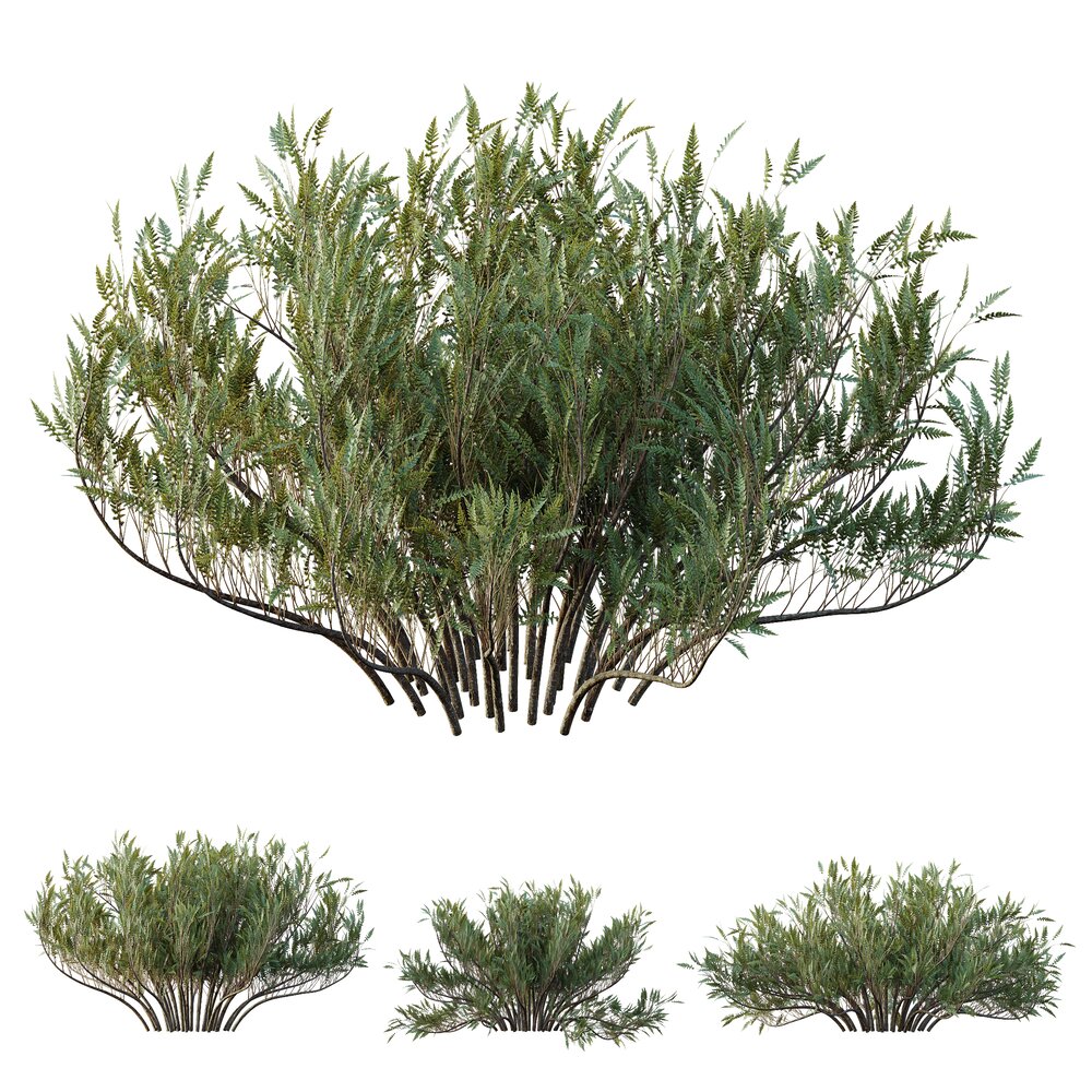 AV Plants Juniperus Sabina Winter Snow 3D model - Download Bushes on ...