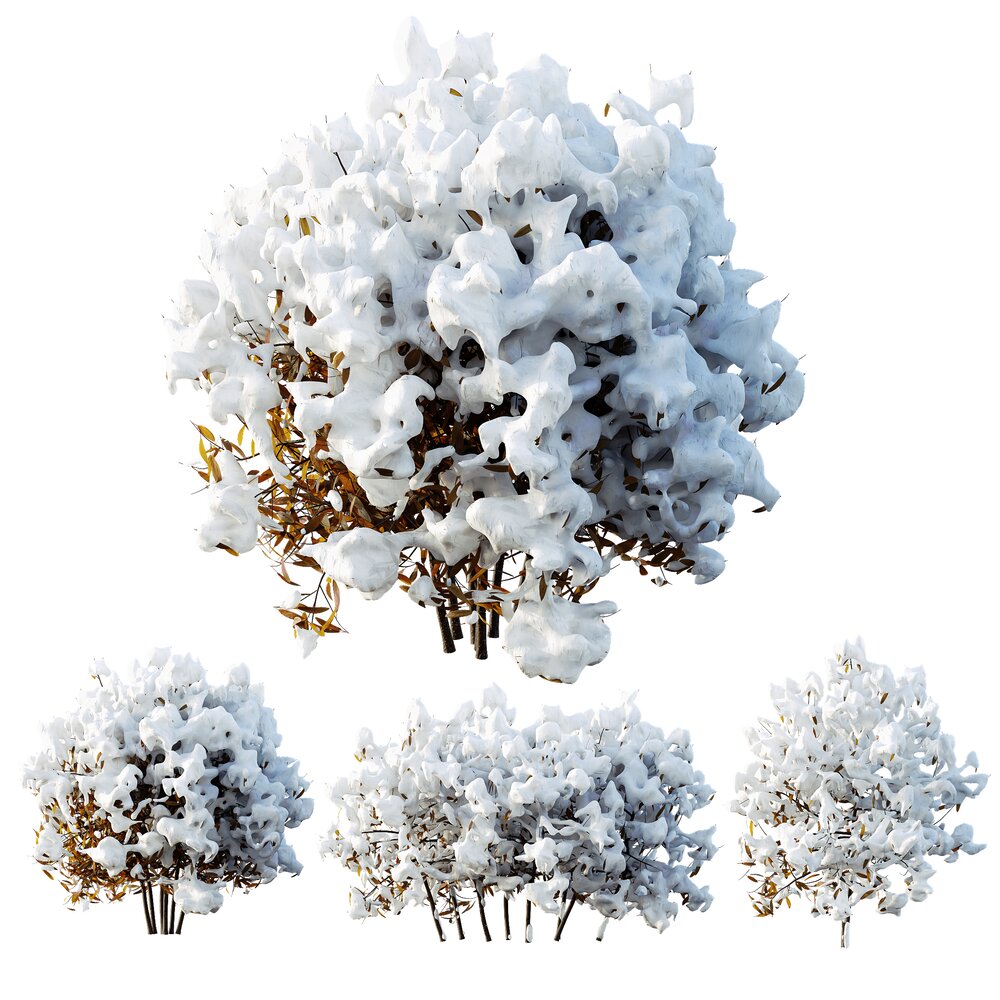 Arbusto de Rododendro Arboreum com Neve de Inverno Modelo 3D - Baixar ...