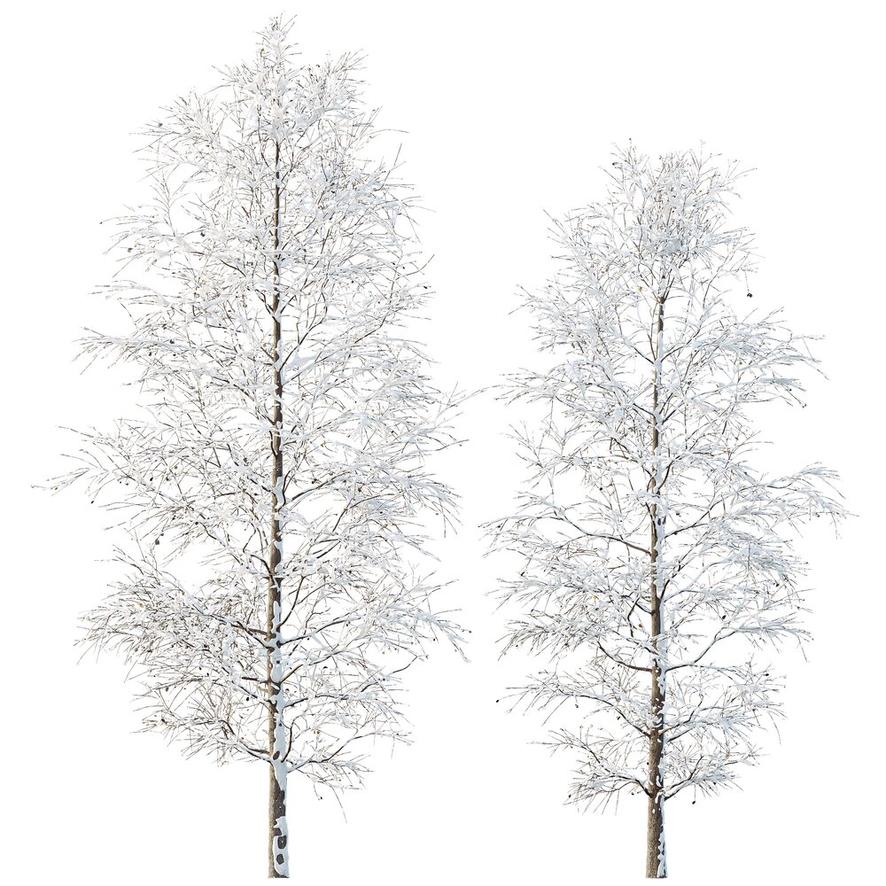 AV Plants Carpinus Betulus Winter Snow 3D model - Download Trees on ...