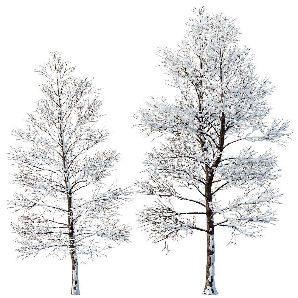 AV Plants Oak Tree Winter Snow Tree 3D model - Download Trees on ...