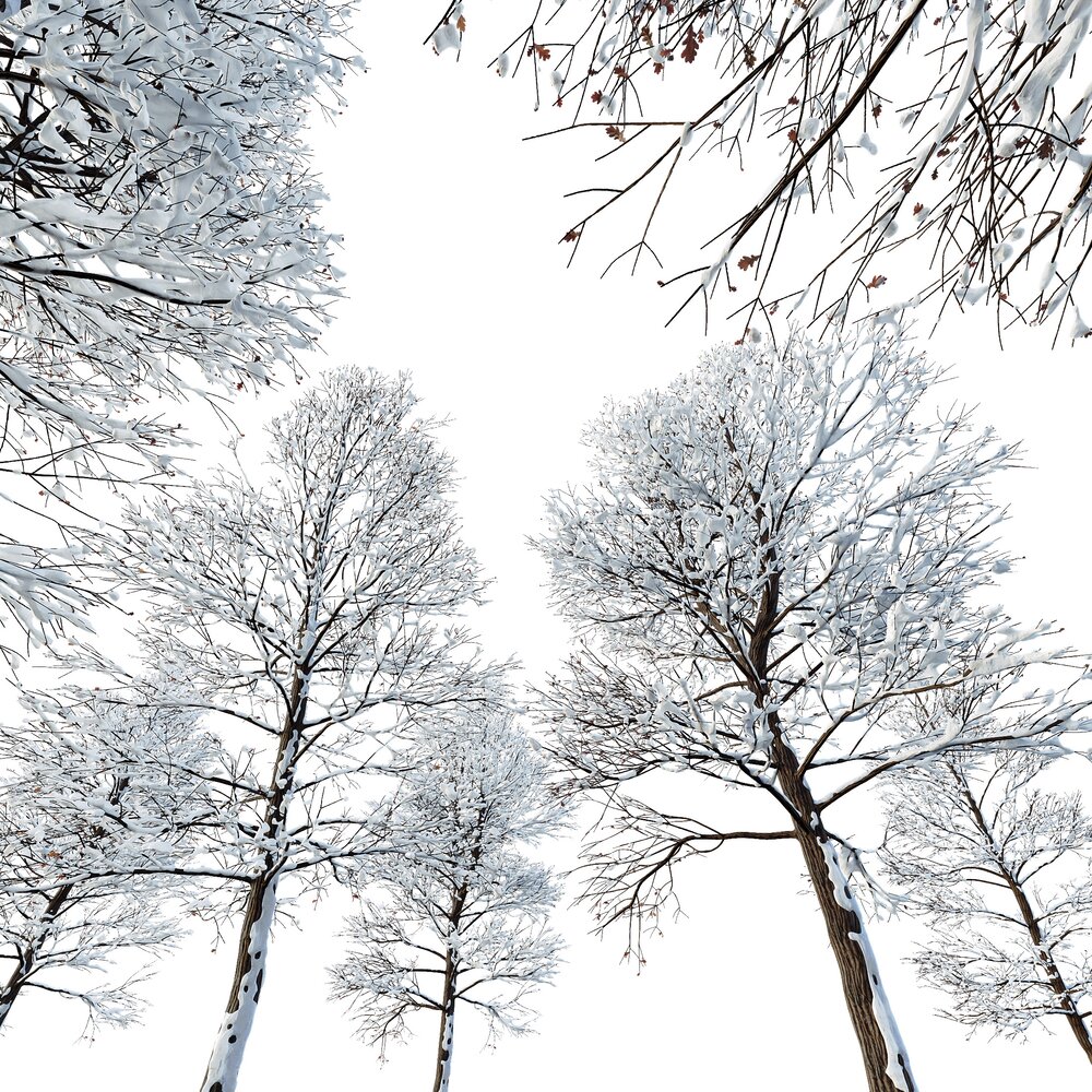 AV Plants Oak Tree Winter Snow Tree 3D model - Download Trees on ...