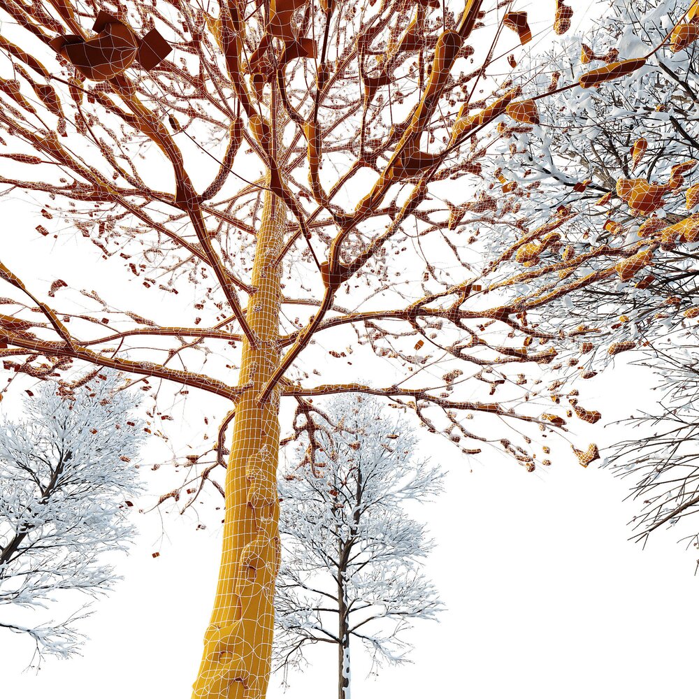 AV Plants Oak Tree Winter Snow Tree 3D model - Download Trees on ...