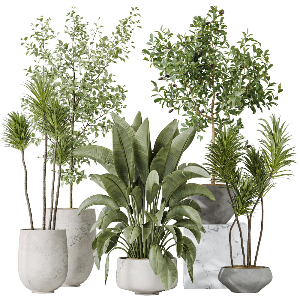 Stylish Indoor Potted Plants Set 3D model - Download Houseplants on ...