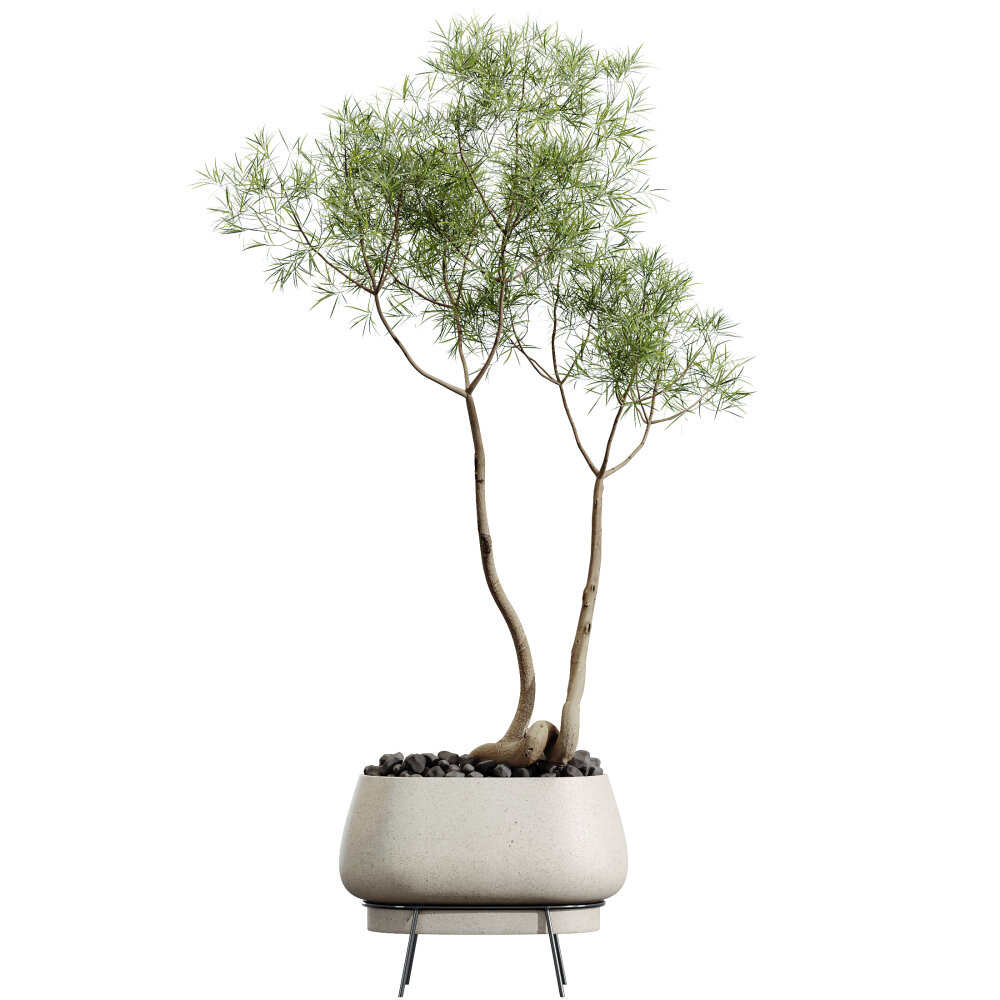 Elegant Potted Tree in Stone Planter 3D model - Download Houseplants on ...