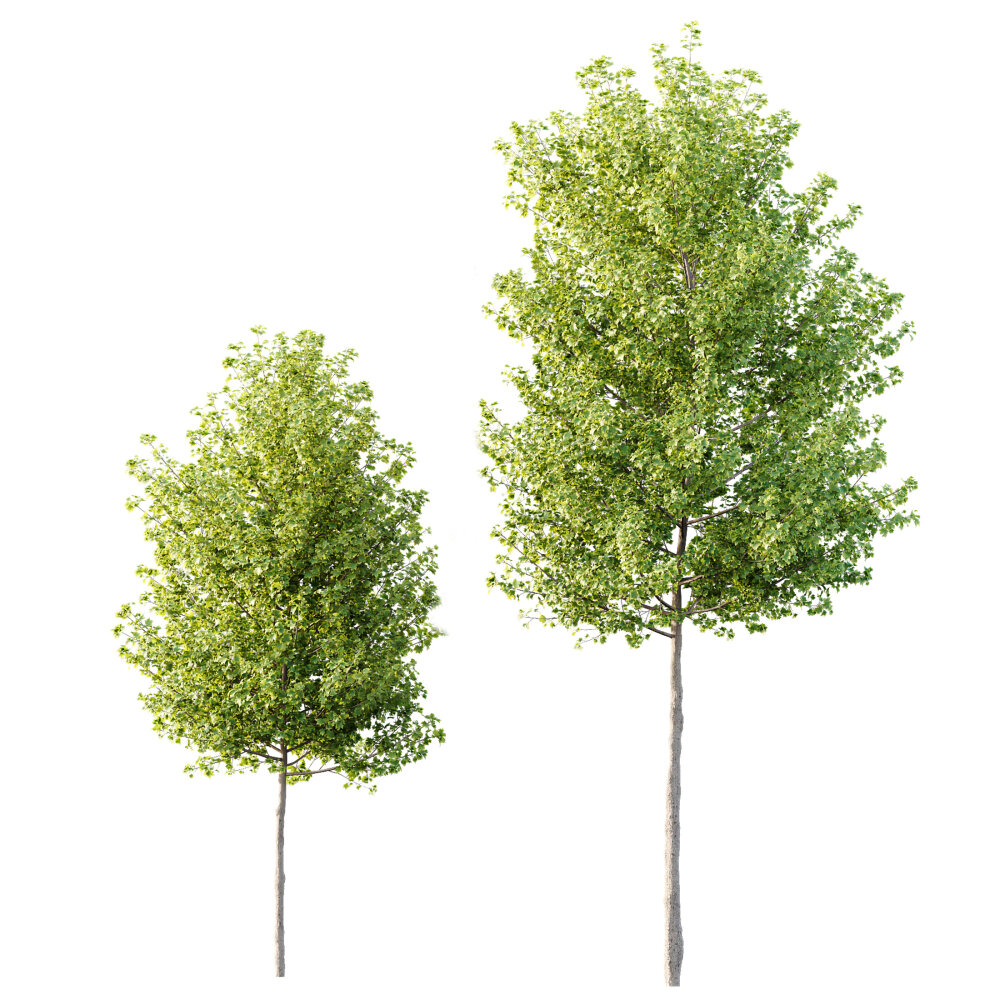 Spring Trees Collection 3D model - Download Trees on 3DModels.org