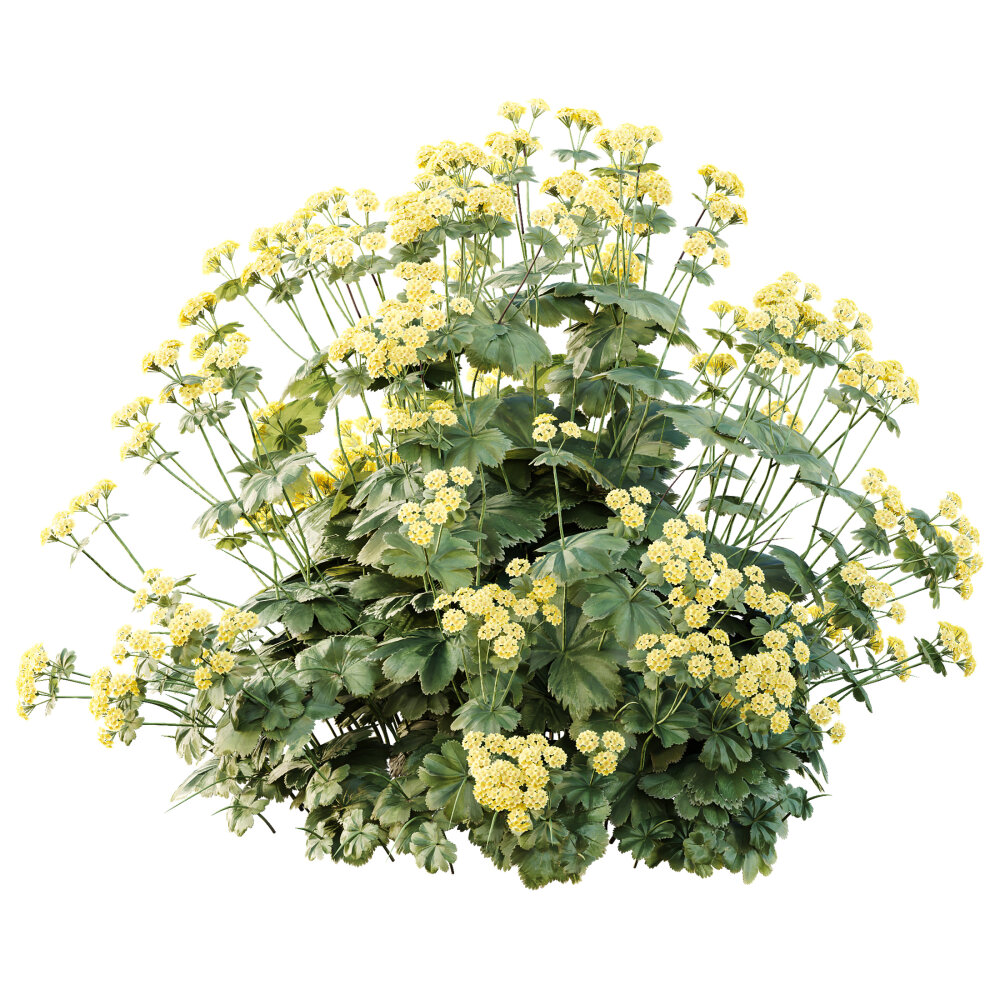 Lush Spring Bush Collection 3D model - Download Bushes on 3DModels.org