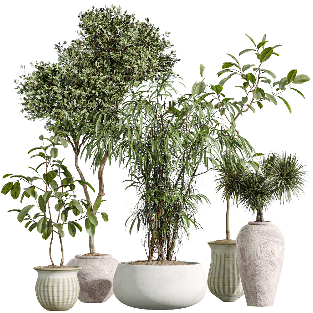 Indoor Potted Trees Collection 3D model - Download Houseplants on ...