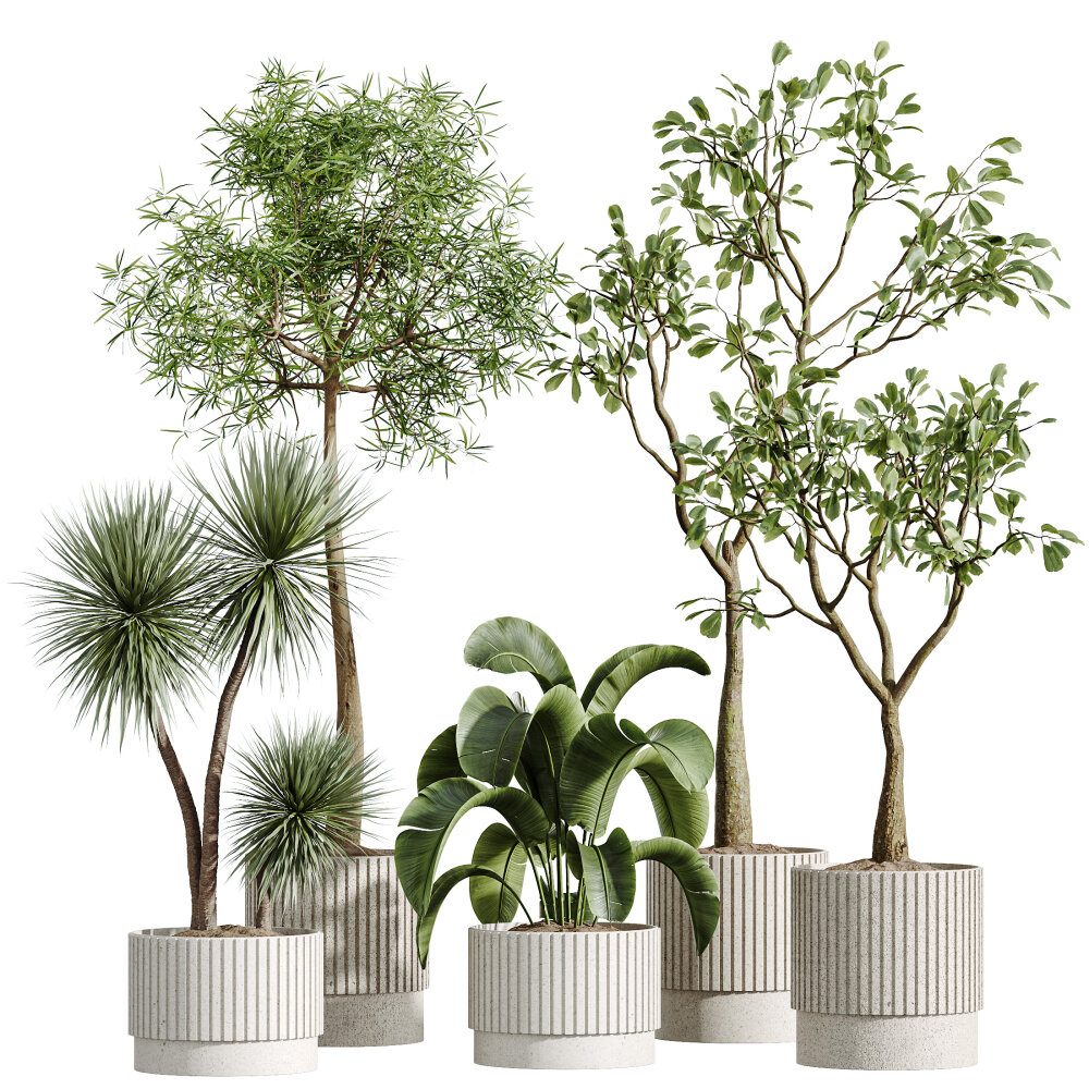 Assorted Potted Trees 3D model - Download Houseplants on 3DModels.org