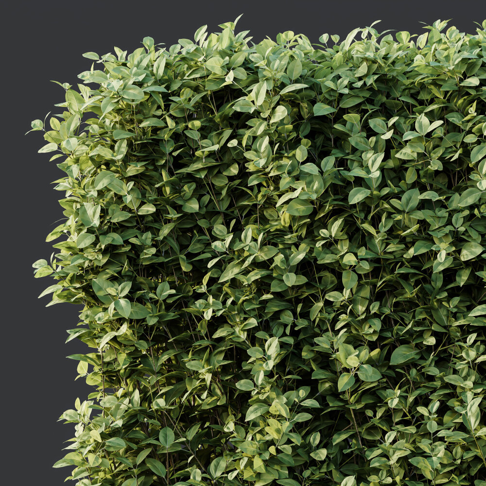 Pruned Bushes and Hedges for Landscaping 3D model - Download Bushes on ...