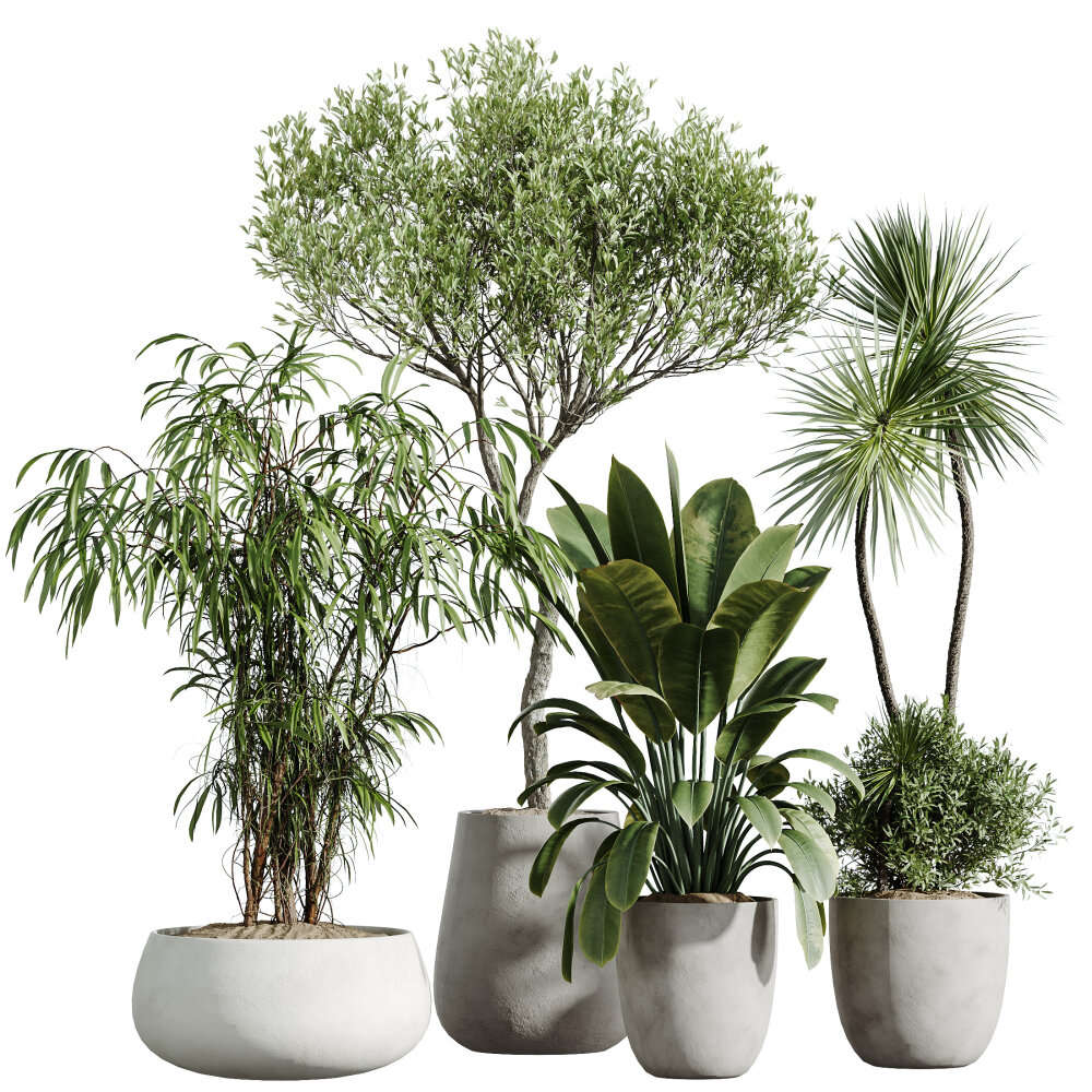 Set of Indoor Plants in Gray Planters 3D model - Download Houseplants ...
