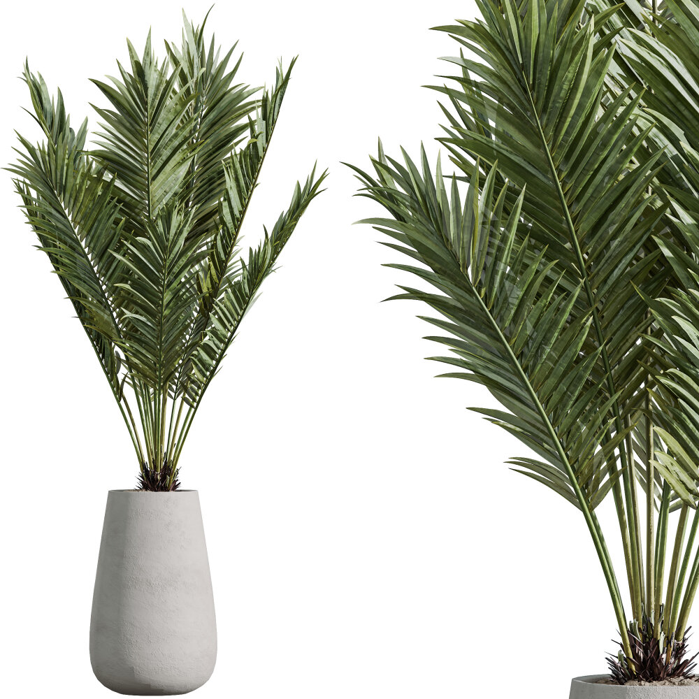 Potted Citrus and Palm Trees with Banana Plant 3D model - Download ...
