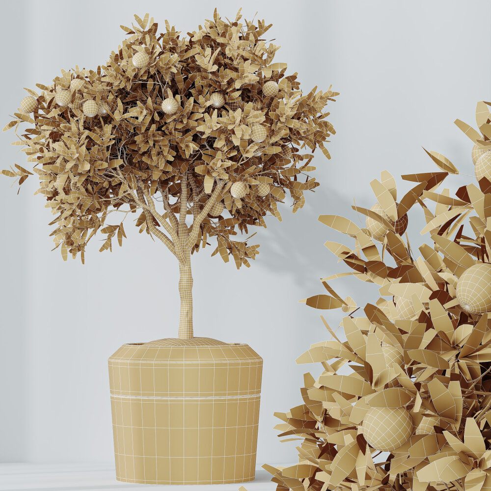 Assorted Potted Plants with Citrus 3D model - Download Houseplants on ...