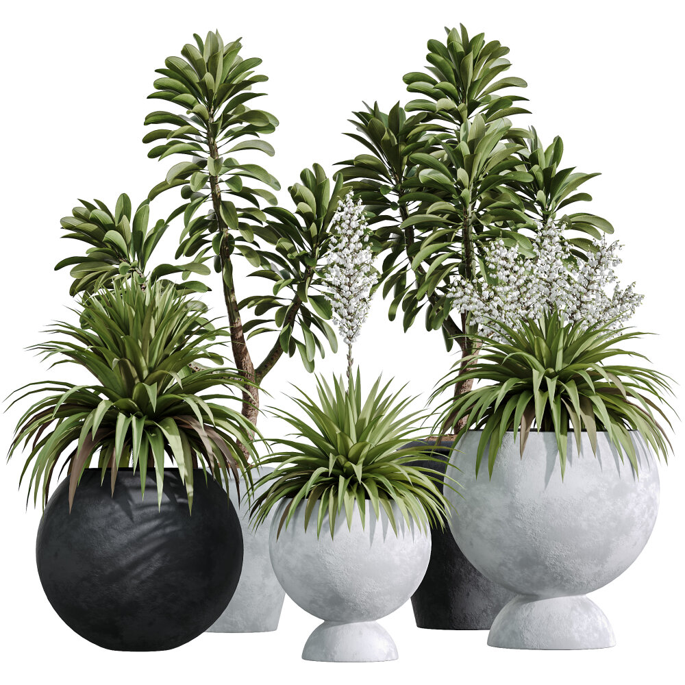 Spherical Concrete Planters with Succulents and Decorative Trees 3D ...