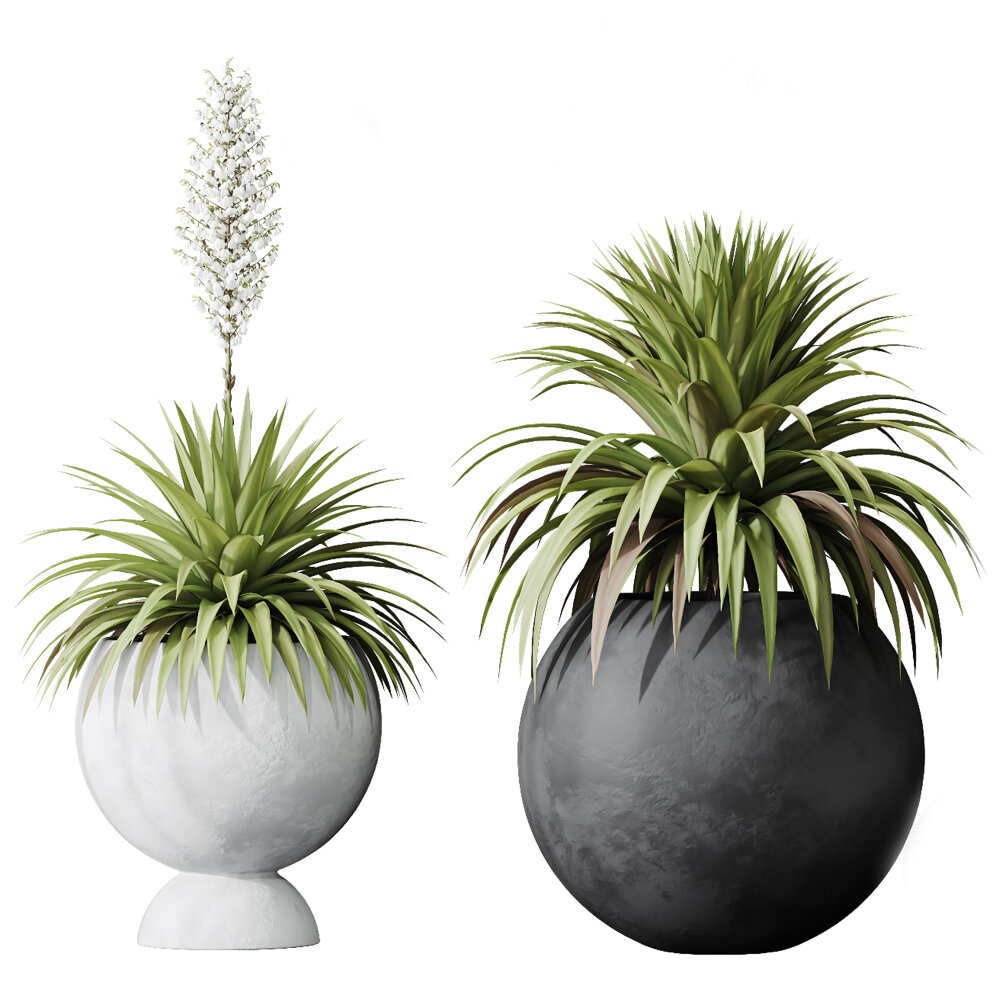 Spherical Concrete Planters with Succulents and Decorative Trees 3D ...