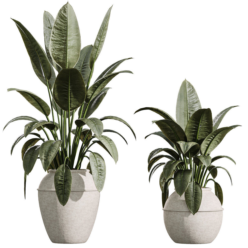 Assorted Indoor Potted Plants Set 3D model - Download Houseplants on ...