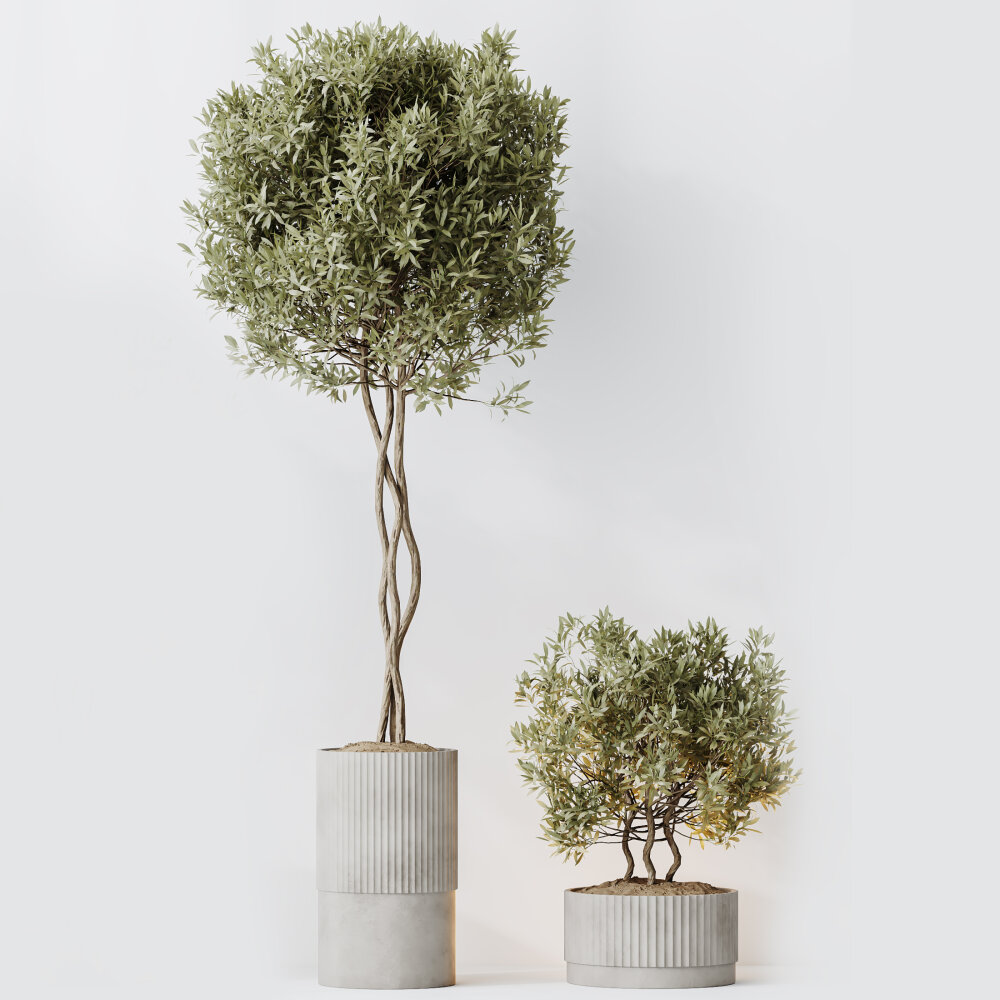 Assorted Indoor Plants in Textured Ceramic Pots 3D model - Download ...