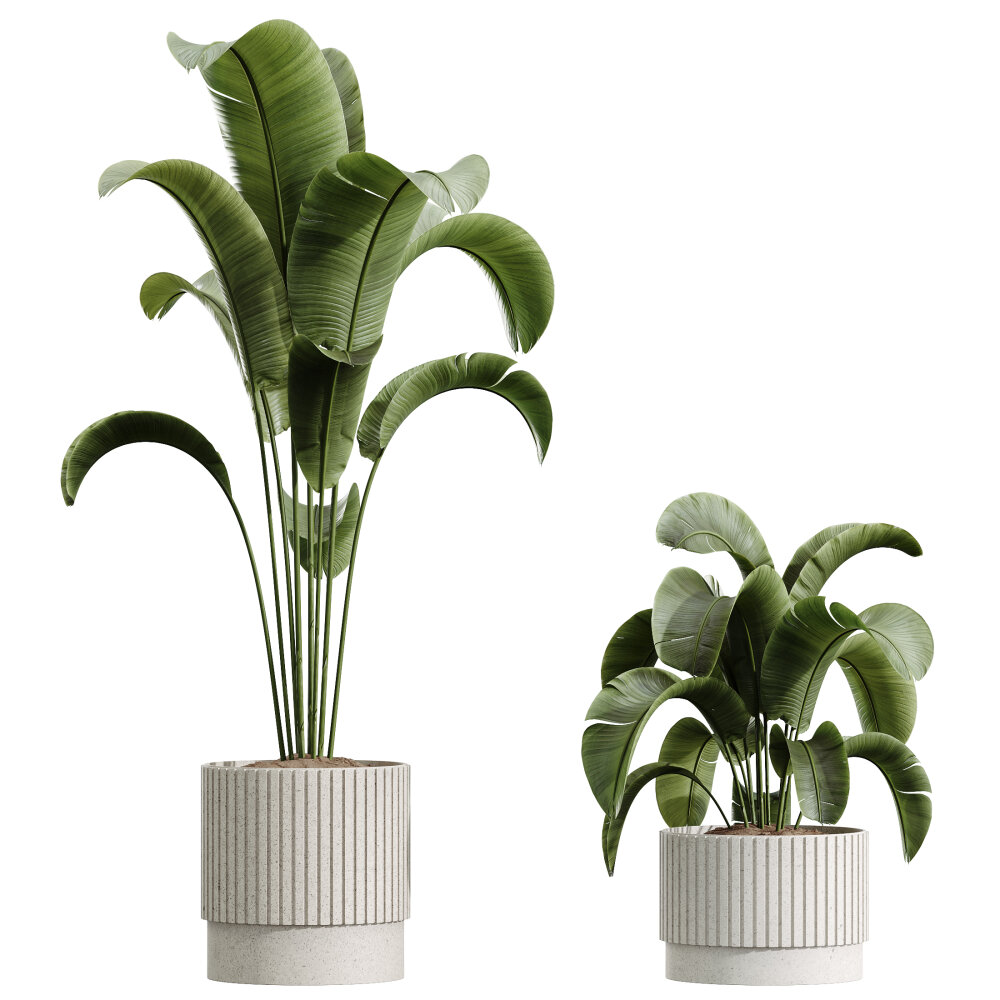Assorted Indoor Plant Set 3D model - Download Houseplants on 3DModels.org