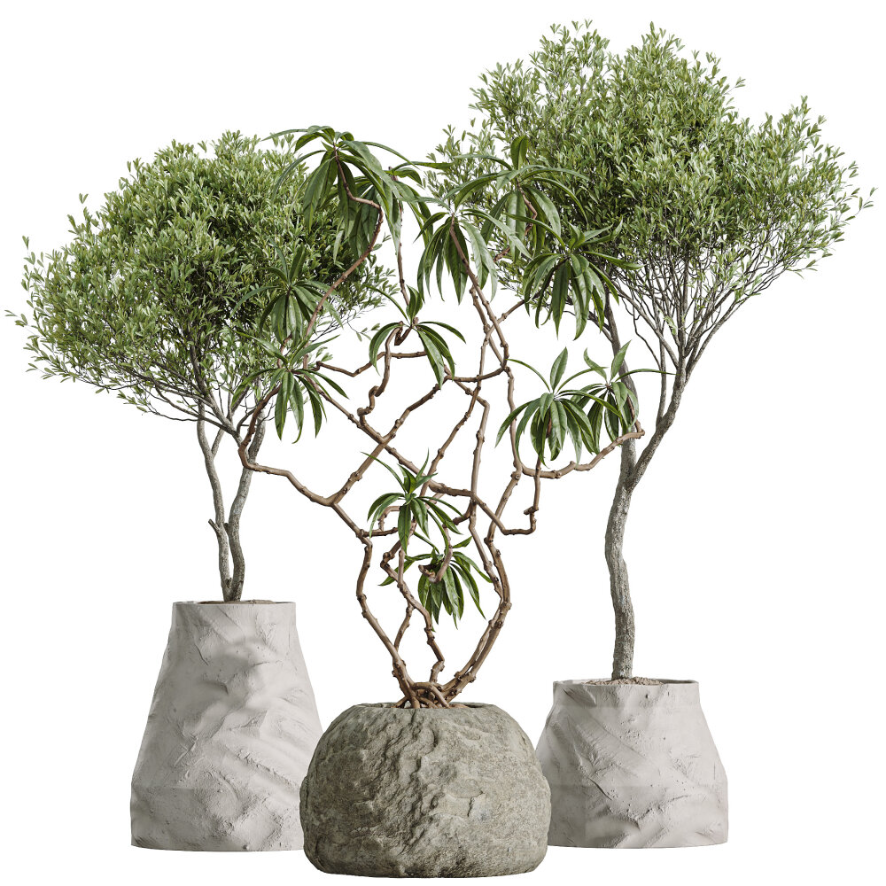 Trio of Potted Trees with Textured Stone Planters 3D model - Download ...