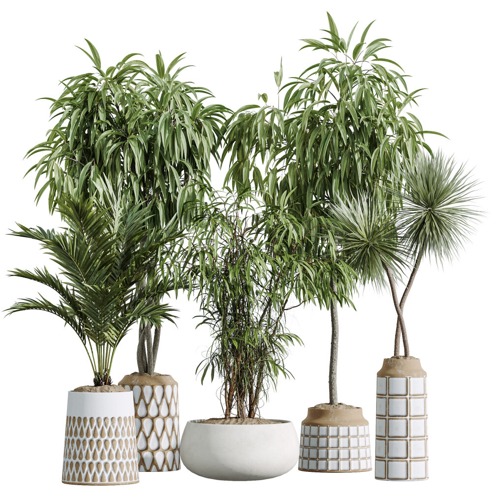 Diverse Indoor Potted Palm Collection 3D model - Download Houseplants ...
