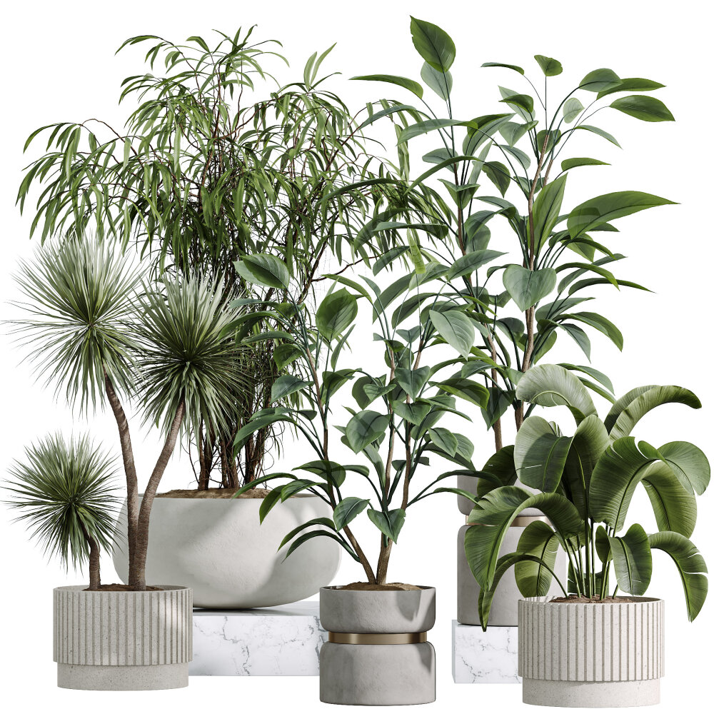 Assorted Indoor Tropical Plants in Textured Planters 3D model ...