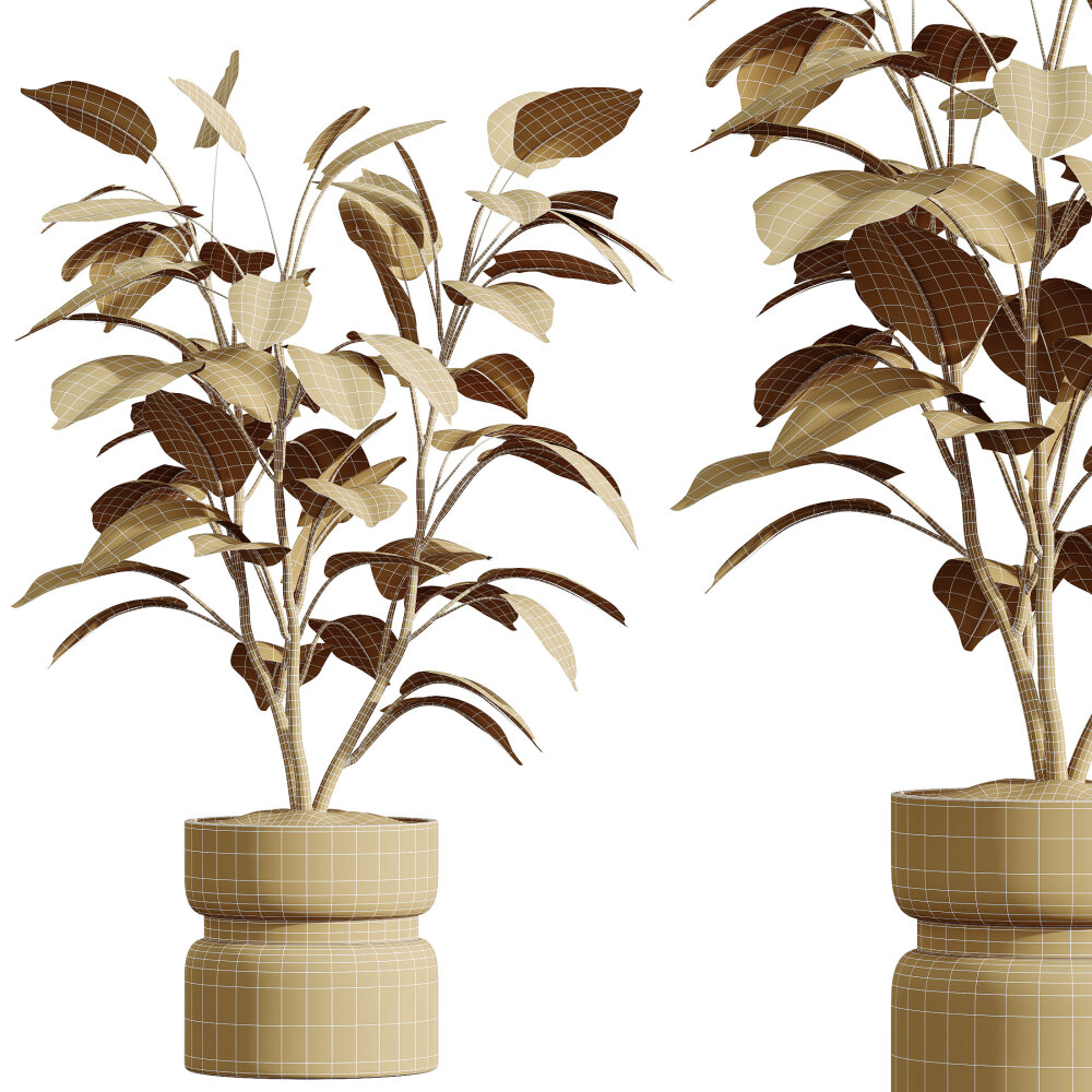 Assorted Indoor Tropical Plants in Textured Planters 3D model ...