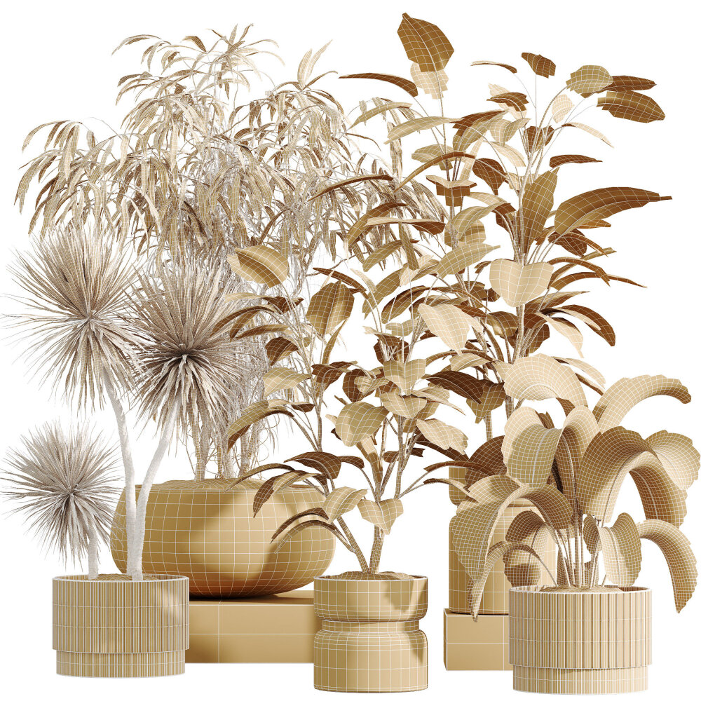 Assorted Indoor Tropical Plants in Textured Planters 3D model ...