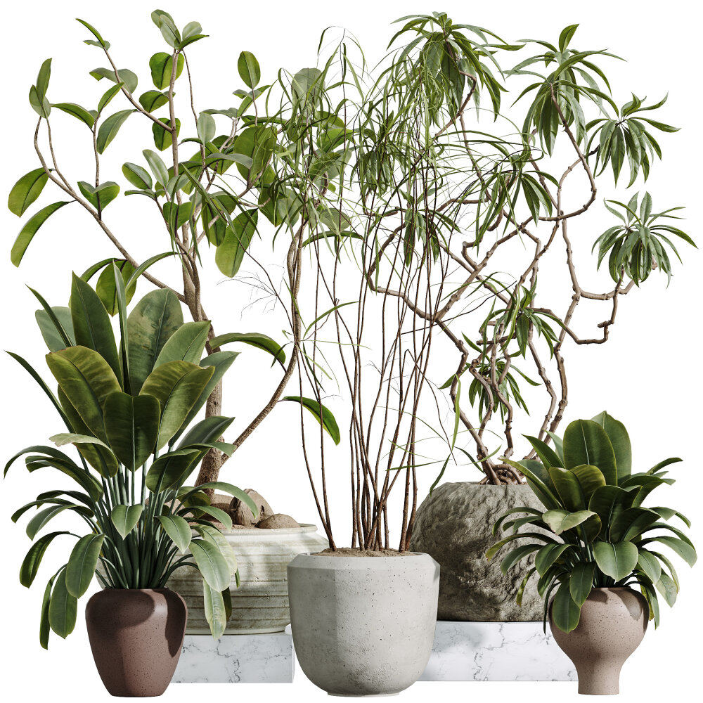 Indoor Decorative Plant Set with Assorted Pots 3D model - Download ...