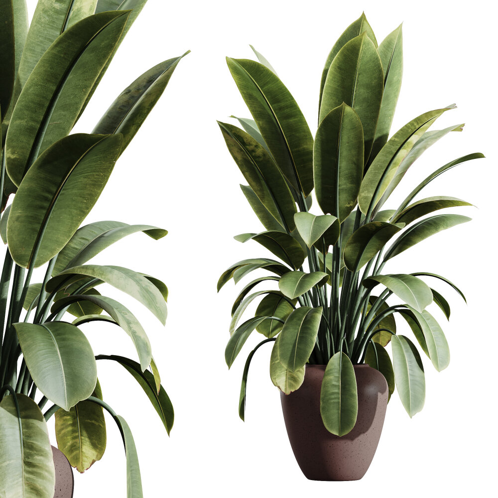 Indoor Decorative Plant Set with Assorted Pots 3D model - Download ...