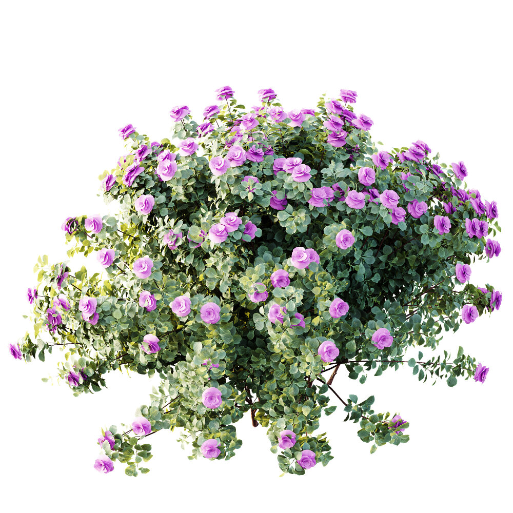 Av Plants Climbing Roses Bush 3D model - Download Bushes on 3DModels.org
