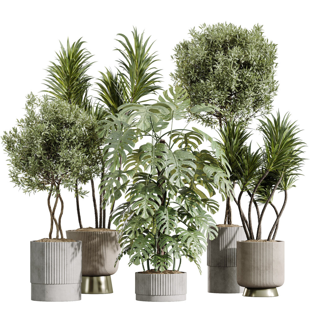 Assorted Indoor Potted Plants with Varied Foliage 3D model - Download ...