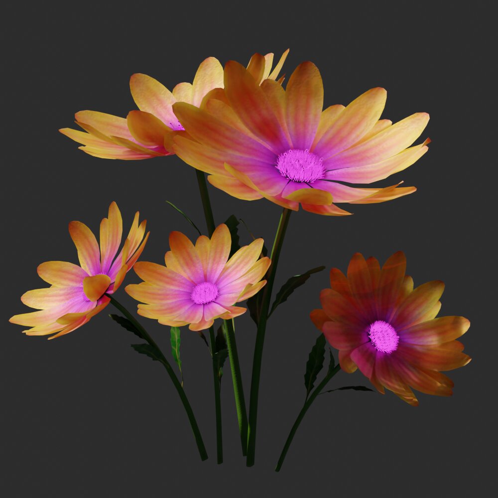 Daisy Flowers 3D model - Download Flowers on 3DModels.org