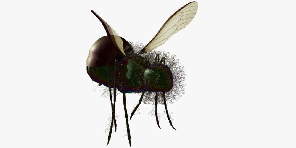 Stylized Fly 3D model - Download Cartoon characters on 3DModels.org