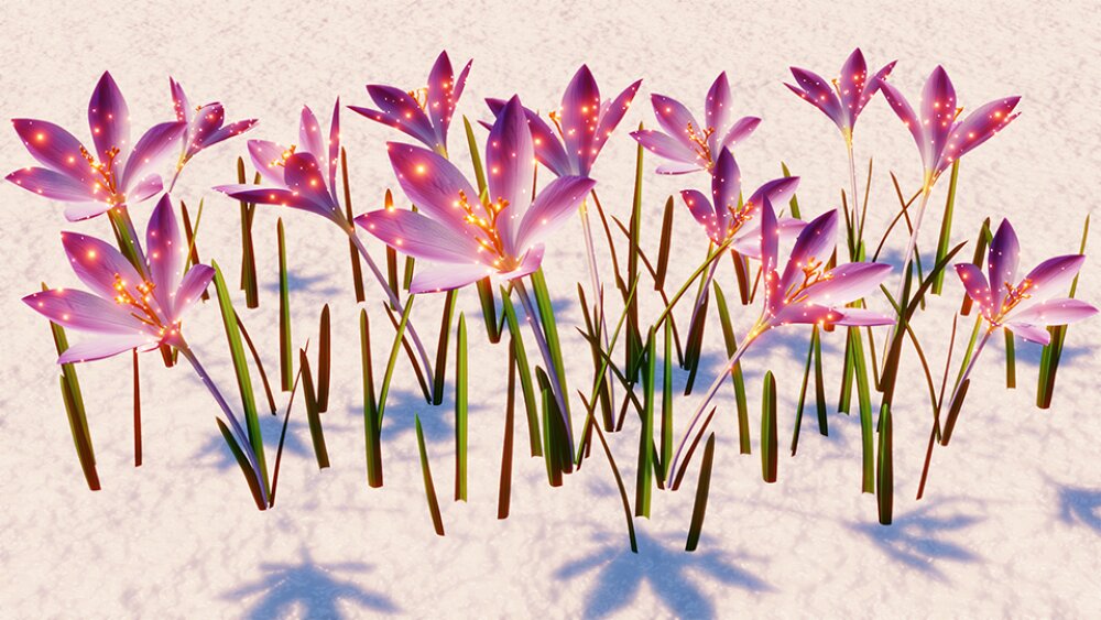 Crocus Blossom 3D model - Download Flowers on 3DModels.org