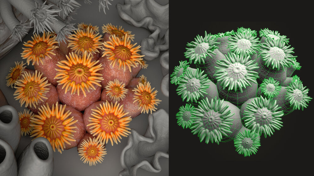 Coral Reef 3D model - Download Landscapes on 3DModels.org