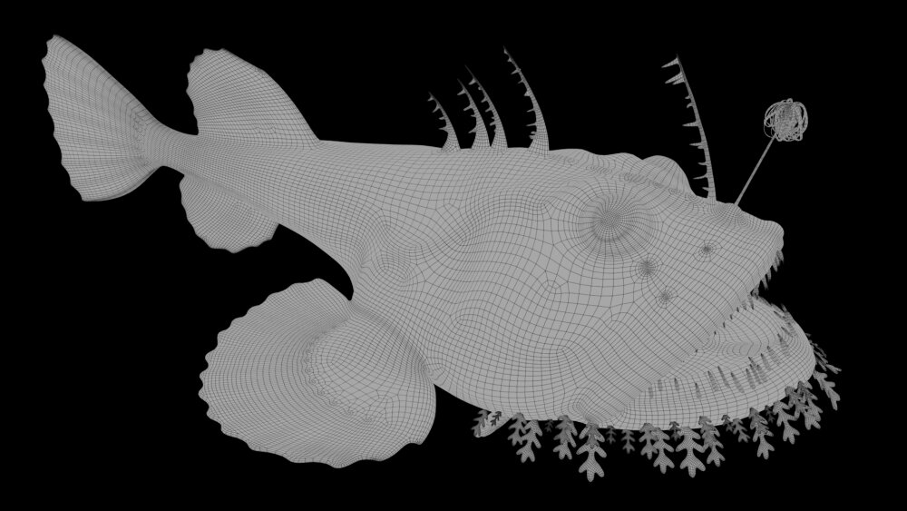 Monkfish Animated 3D model - Download Fish on 3DModels.org