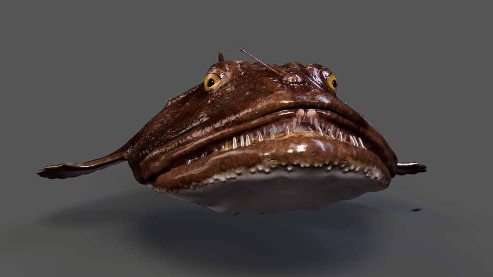 European Angler Animated 3D model - Download Fish on 3DModels.org