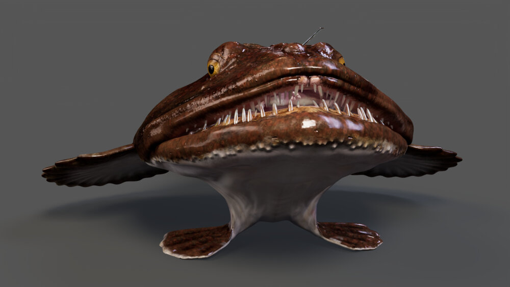 European Angler Animated 3D model - Download Fish on 3DModels.org
