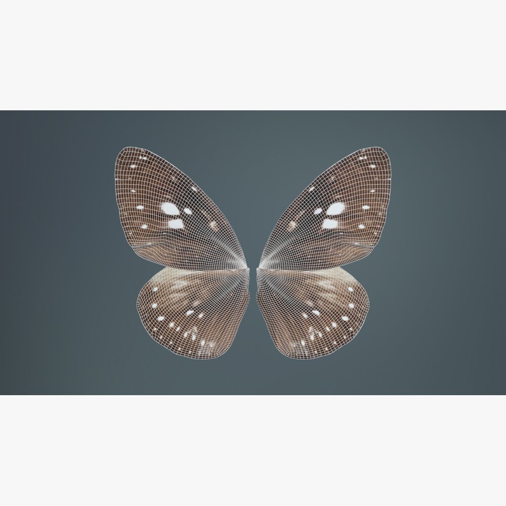 Common Crow Euploea Core 3D model - Download Insects on 3DModels.org