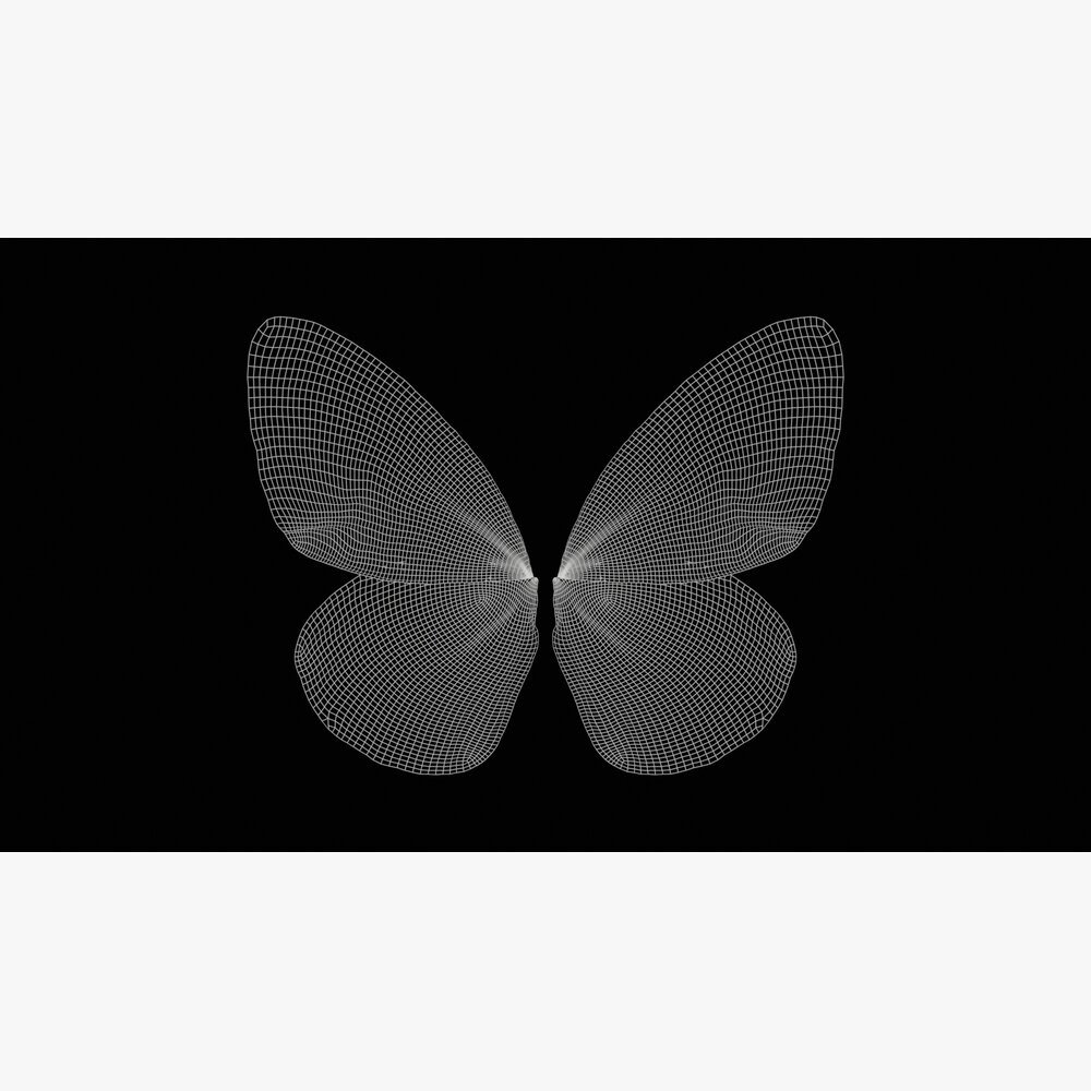 Common Crow Euploea Core 3D model - Download Insects on 3DModels.org