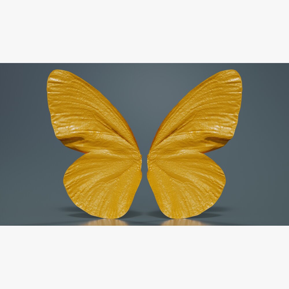 Common Crow Euploea Core 3D model - Download Insects on 3DModels.org