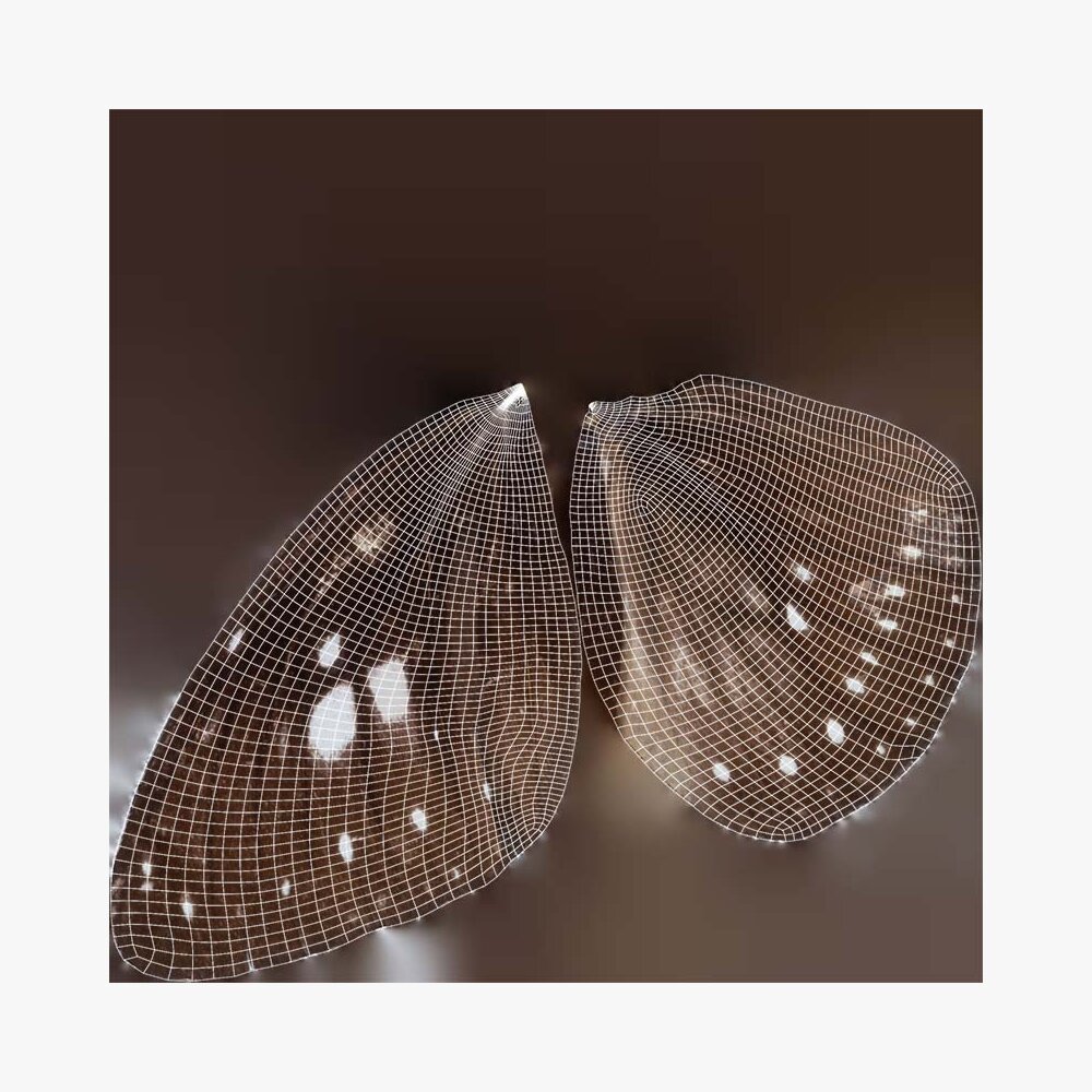 Common Crow Euploea Core 3D model - Download Insects on 3DModels.org