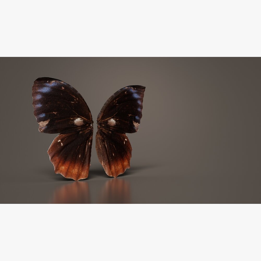 Common Palmfly 3D model - Download Insects on 3DModels.org