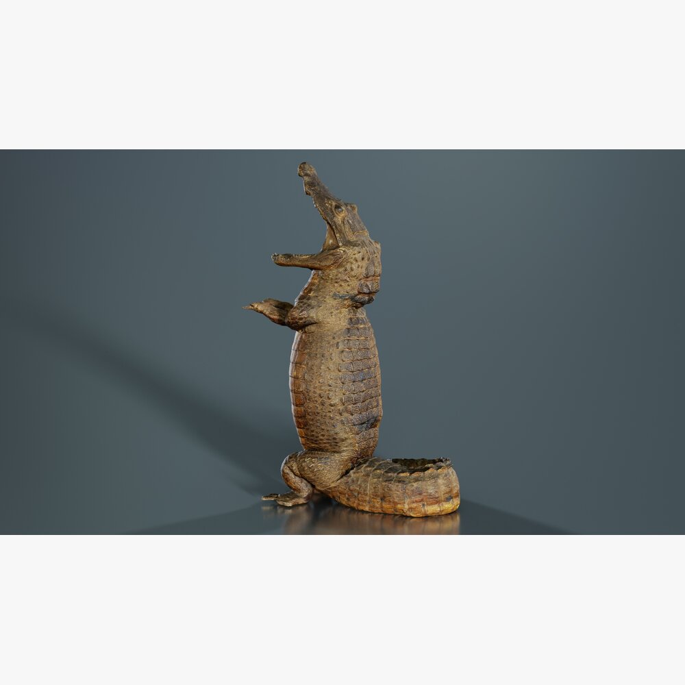 Crocodile Stand 3D model - Download Decoration on 3DModels.org
