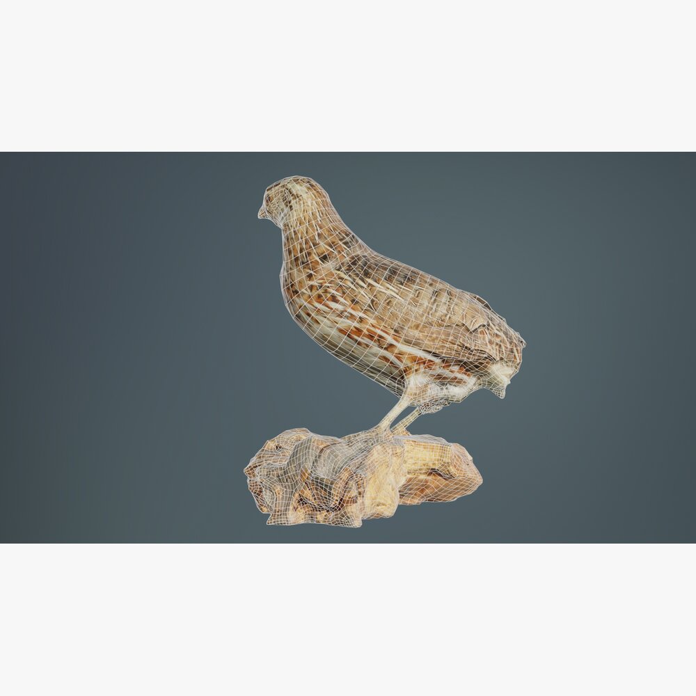 나무 받침대 위의 일본 메추라기 코터닉스 자포니카 3D 모델 - 다운로드 장식 on 3DModels.org