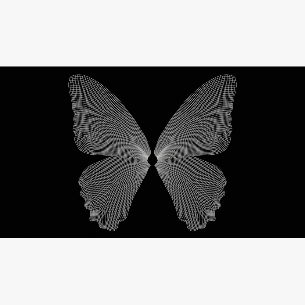 Mariposa Lima Modelo 3D - Descargar Insectos on 3DModels.org
