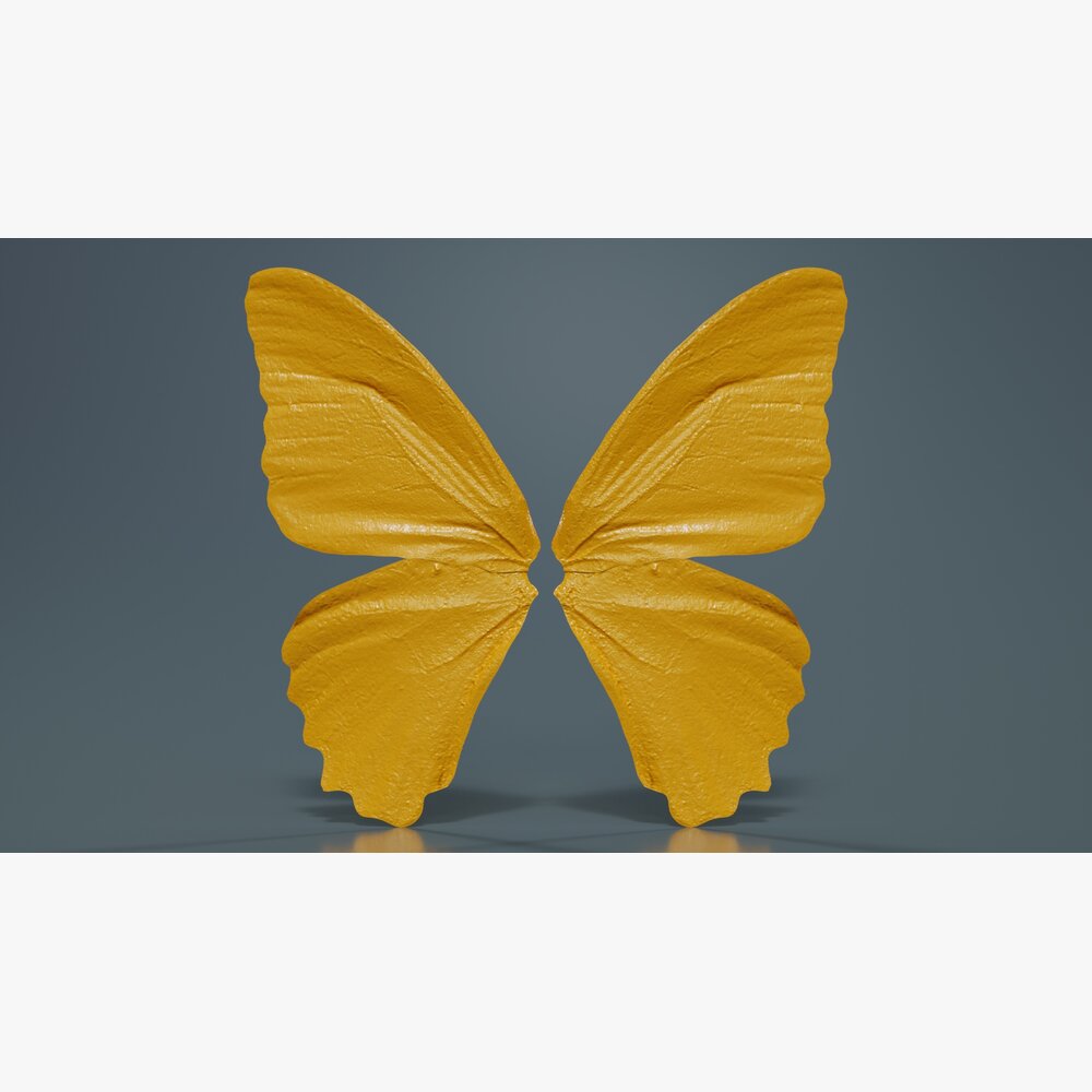 Mariposa Lima Modelo 3D - Descargar Insectos on 3DModels.org