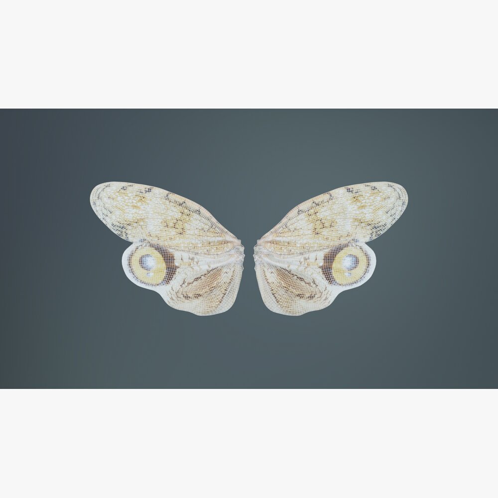 Owlet Moth Noctuoidea 3D model - Download Insects on 3DModels.org